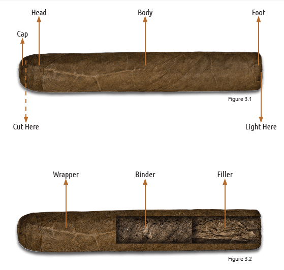 A Beginner’s Guide To Cigars